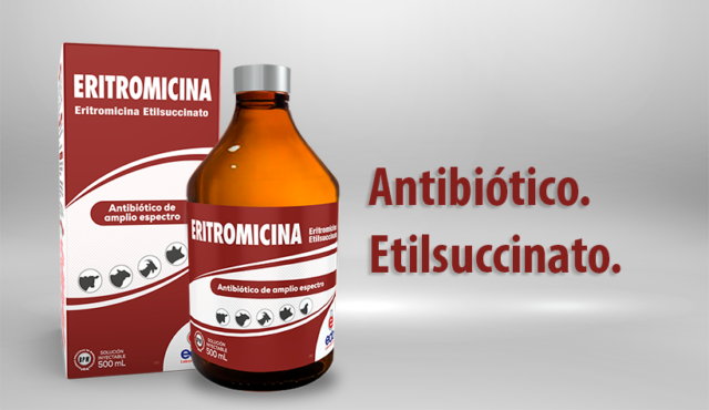 Antibiótico Eritromicina | Laboratorios EDO